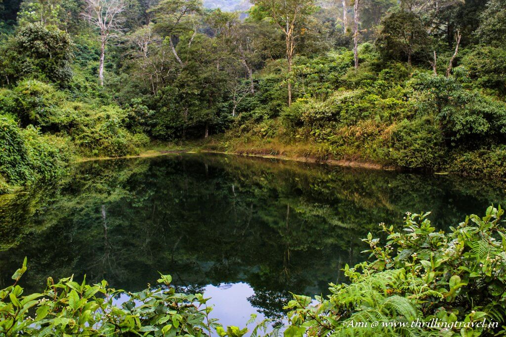 A slice of Coorgi hospitality with Magnolia Resorts - Thrilling Travel