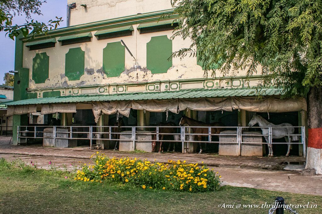 La Martiniere College - An offbeat attraction of Lucknow - Thrilling Travel