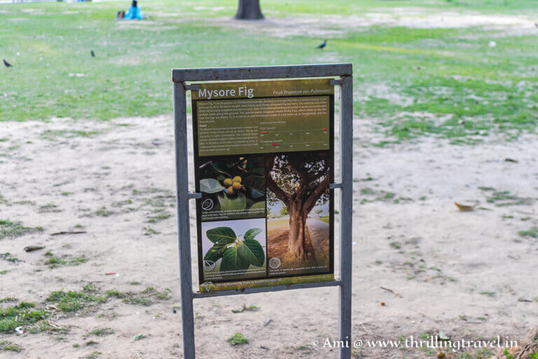Sunder Nursery Delhi - a heritage park in Delhi - Thrilling Travel